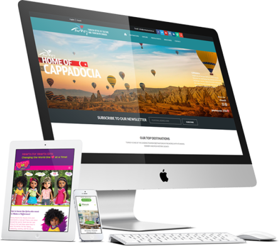 Expert WordPress Development Web Design Services MisterSK Infotech